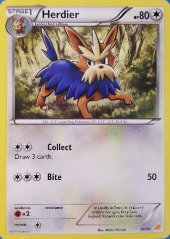 BW Trainer Kit - Page 8 of 10 - CardMavin